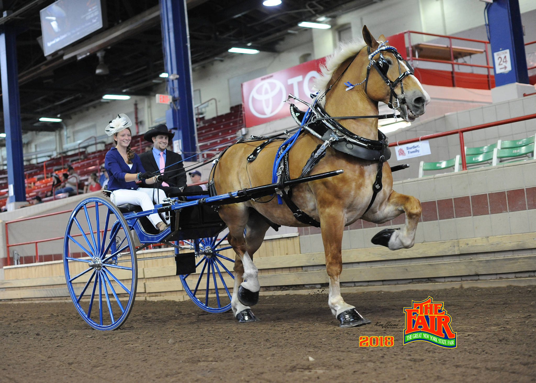 Belgian Draft Horse Corporation | Belgians in Action